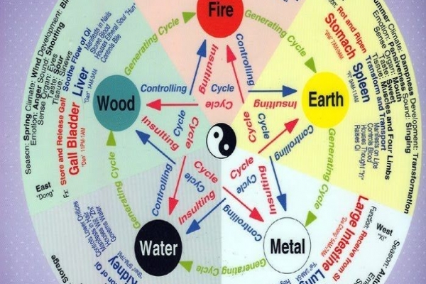 Shëndeti i 5 organeve, jetik për njeriun - albanian